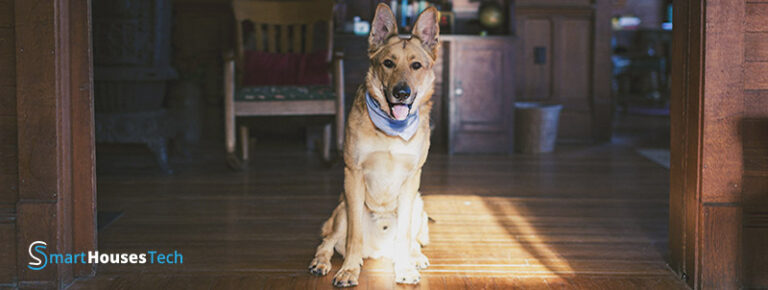 [Top 7] Best Robot Vacuum For German Shepherd in 2024